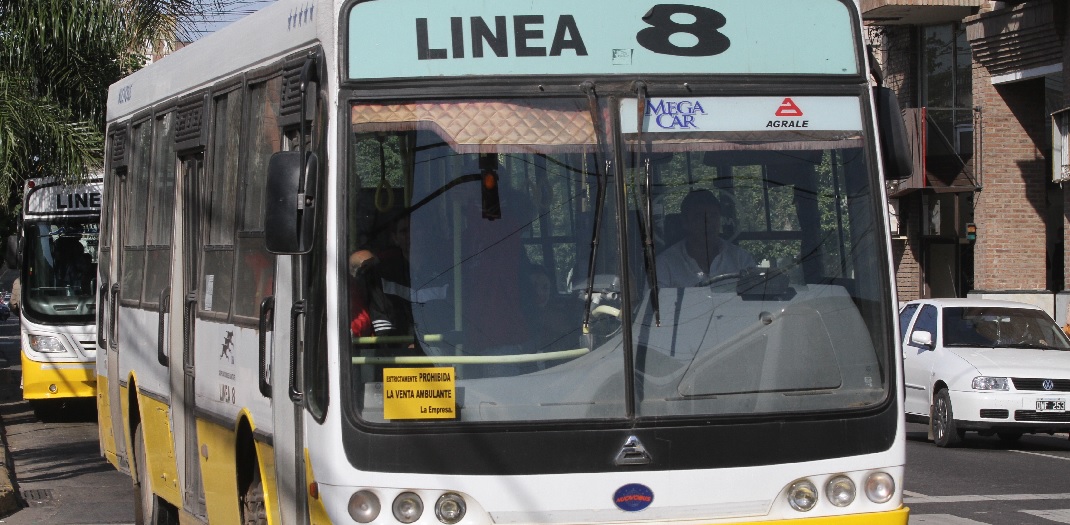 Dos delincuentes asaltaron un colectivo de la línea 8 - NexoDiario
